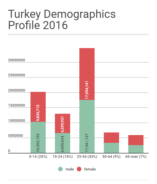 INTERNET USAGE IN TURKEY – AdCombo